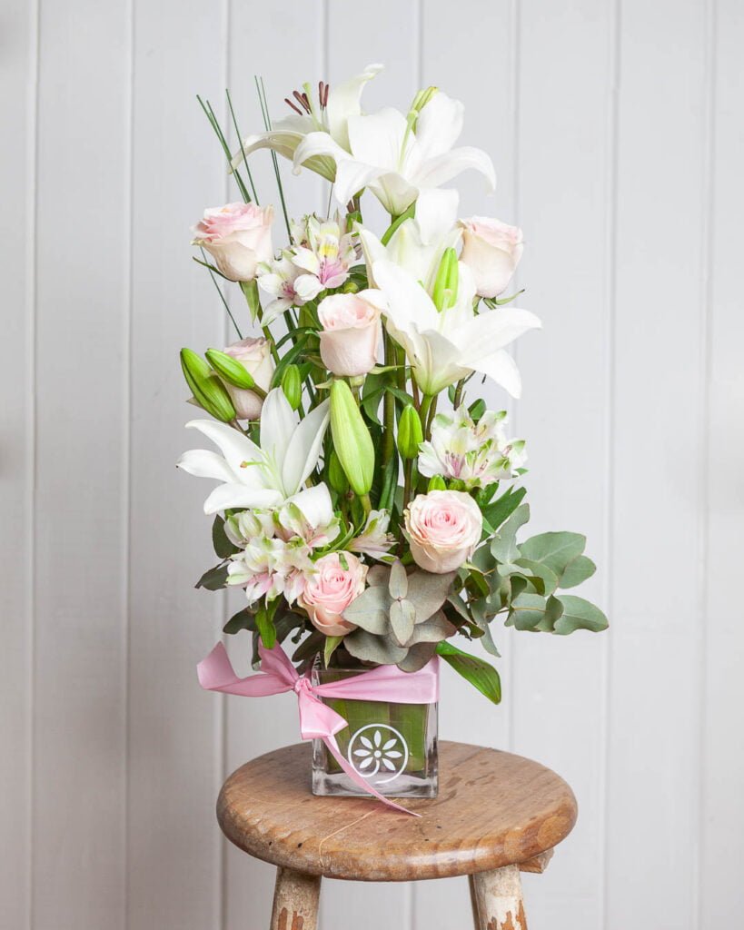 Clásicos archivos - Casa Castilla